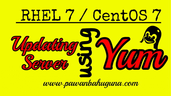 Linux Basic Tutorial How To Update Linux Server Using Yum